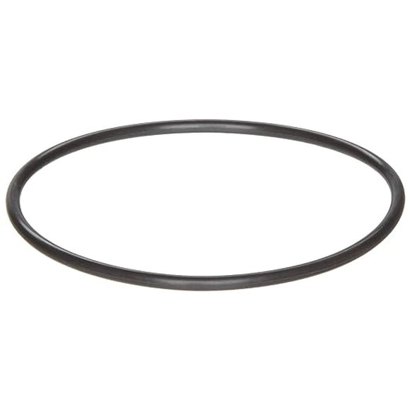 4 Inch O Ring