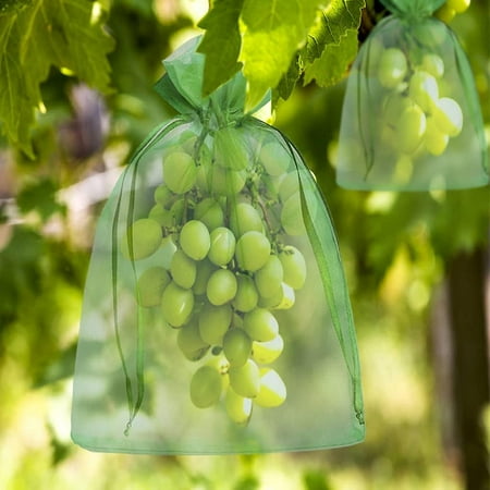 200 Pieces Bunch Protection Bag 23x17/15*20cm Grape Fruit Organza Bag ...