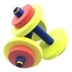 Redmon Toy Sports Equipment with Bars Discs, Multi Color, 2.5 lb, 4.50 ...