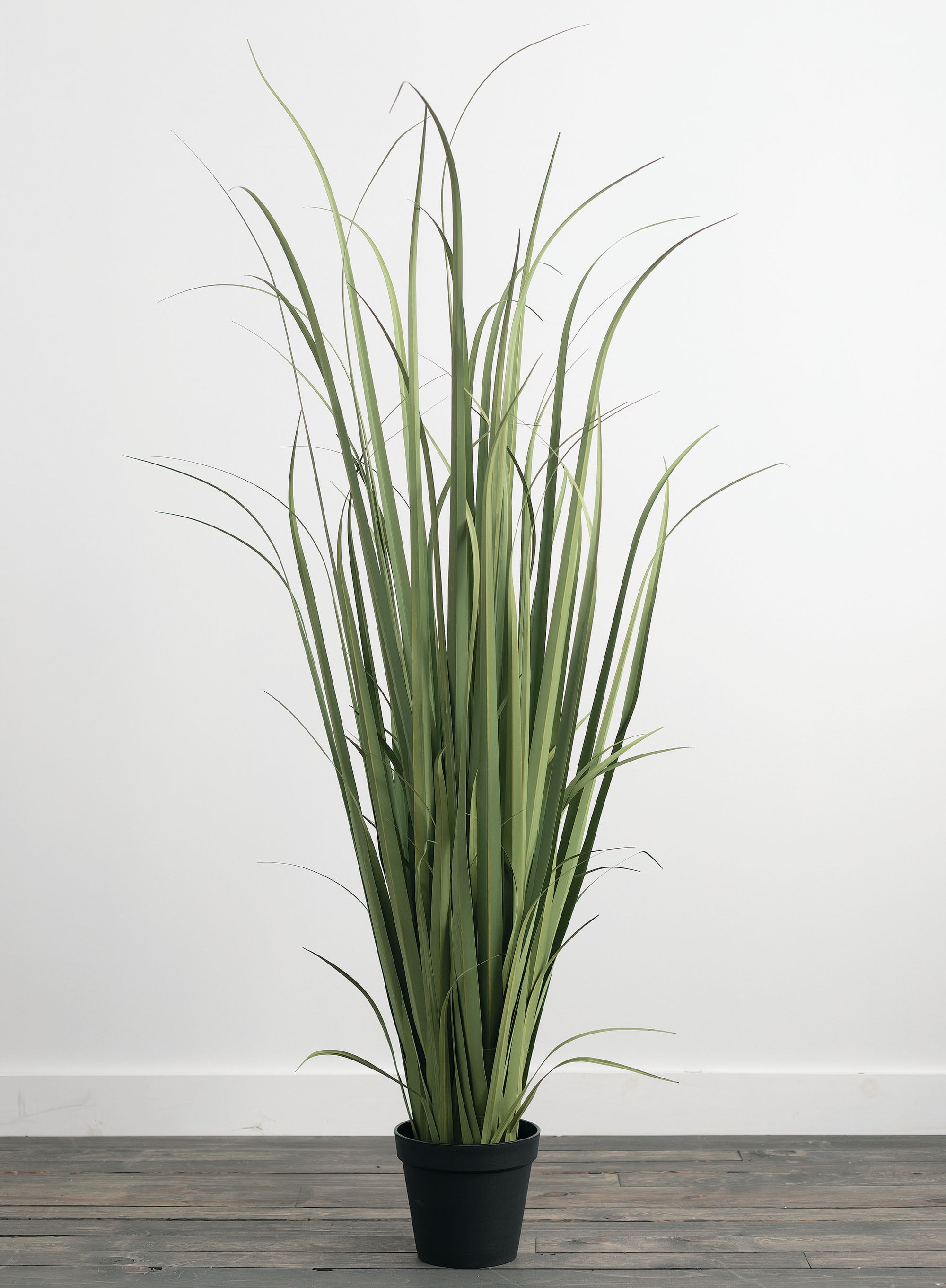 Sullivans Artificial Onion Grass Potted 72"H Green - Walmart.com