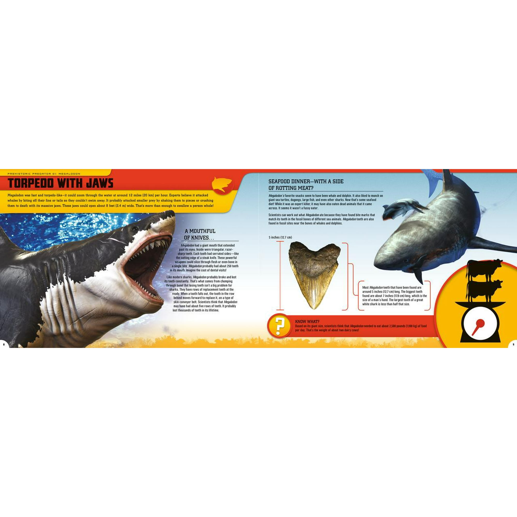 Prehistoric Predators Megalodon