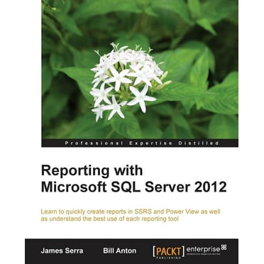 Professional Microsoft SQL Server 2016 Reporting Services and Mobile ...