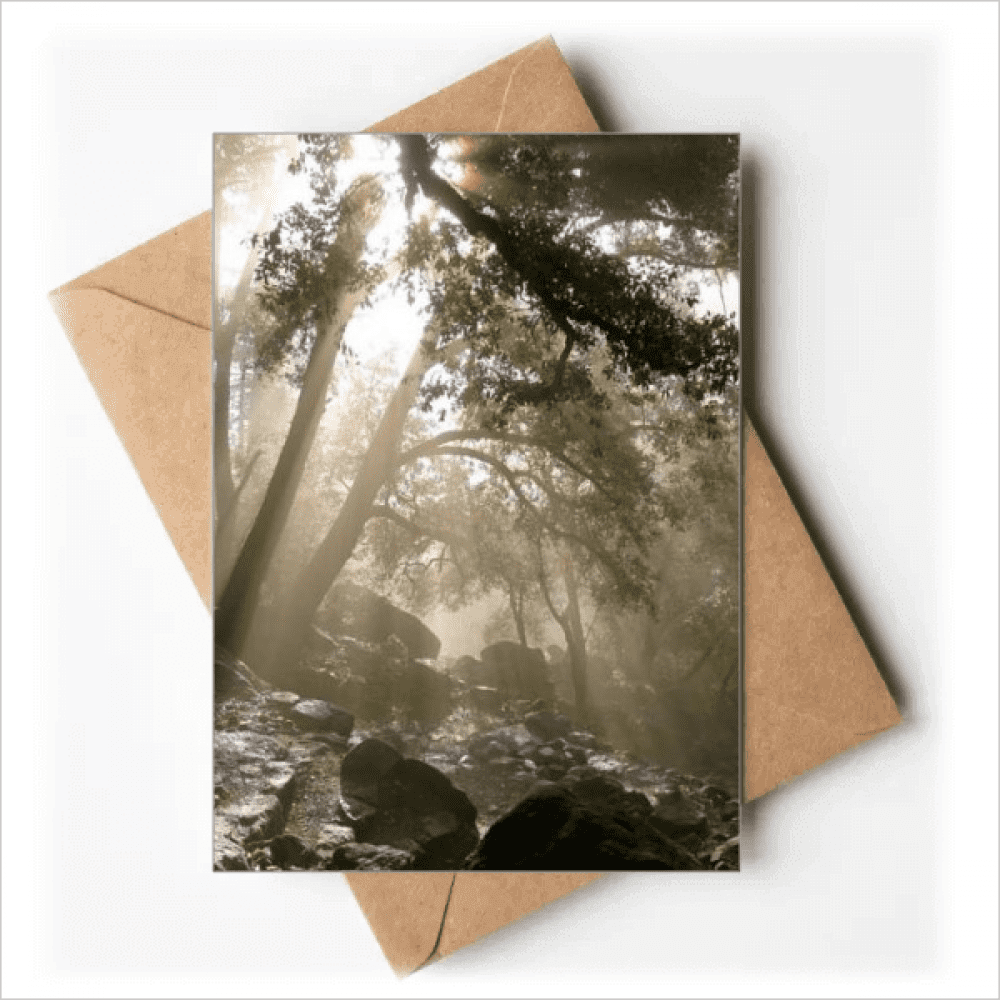 Green Forestry Science Nature Scenery Greeting Cards You are Invited ...