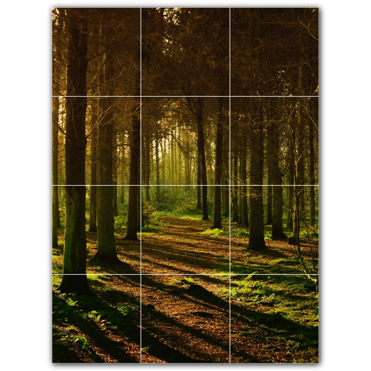 Picture-Tiles.com: Trees Ceramic Tile Wall Mural WAL501027-34L. 24"W x ...