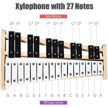 8 Notes Xylophone 8 Notes Colorful Rainbow Chromatic Wooden Percussion ...