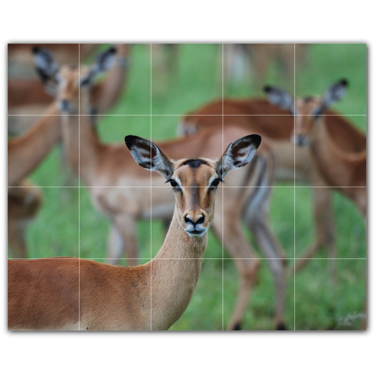 Picture-Tiles.com: Deer Ceramic Tile Wall Mural WAL500452-54L. 40"W x ...