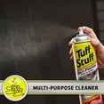 (2 pack) Tuff Stuff Multi Purpose Foam Cleaner for Car Detailing, 22 oz ...