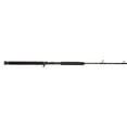 PENN Rampage® Jig Conventional Rod, 5'8" Heavy Fishing Rod - Walmart.com