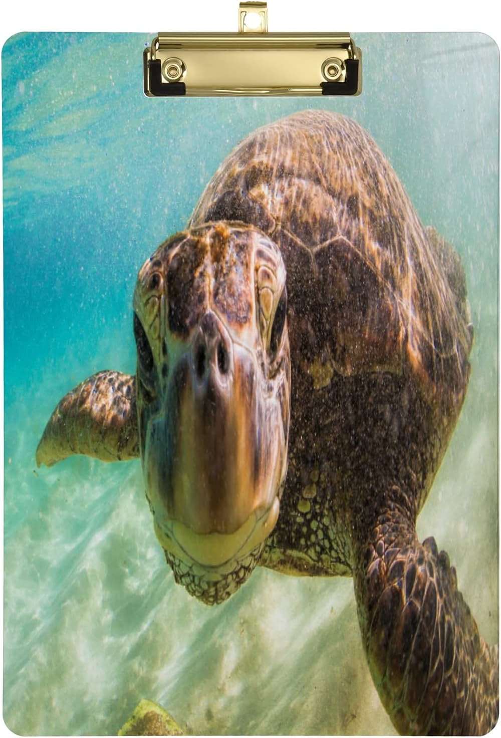 FMSHPON Hipster Sea Turtle Ocean Sea Clipboard Hardboard Wood Nursing ...