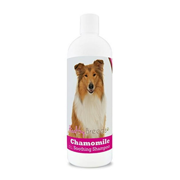 How To Dry A Rough Collie