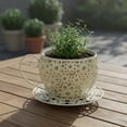 JWQFBC Coffee Cup Planter Hollowed out Design TeacupPlant Pot Indoor ...