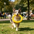 Ailezt Dog Ring Toy Dog Training Chew Toy for Outdoor Aggressive Pet ...