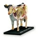 4D Vision Cow Anatomy Model - Walmart.com