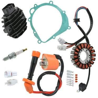 Arrowhead Eton RXL 50M MINI (EURO) Stator Coil - Walmart.com