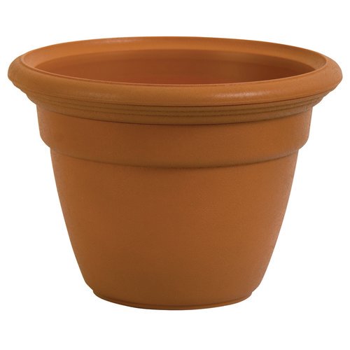 Grower Select Dynamic Design Hampton 16'' Terracotta Pot Planter ...