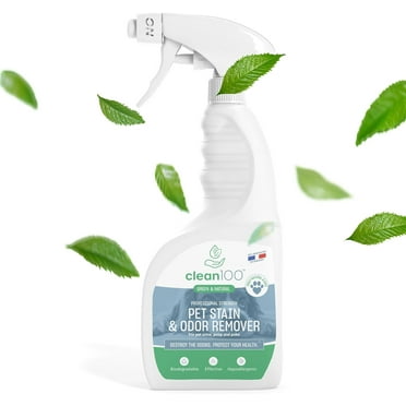 CAMPANELLI Pro Series Stain Remover - 18oz Aerosol - Point & Spray ...