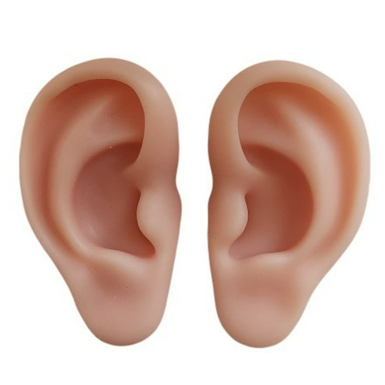 Left Human Ear