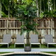 Nearly Natural 8ft. UV Resistant Artificial Double Robellini Palm Tree ...