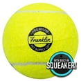 Franklin Pet Supply Ready Set Fetch Ball Launcher - Walmart.com