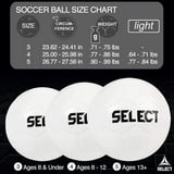 Select Club DB V22 Size 5 Soccer Ball, White & Black - High Quality ...