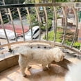 304 Stainless Steel Rope Net Hardware Cloth, 3.3'x16.4' Wire Rope Net ...