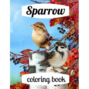 Dungeons and Drawings: An Illustrated Compendium of Creatures ...