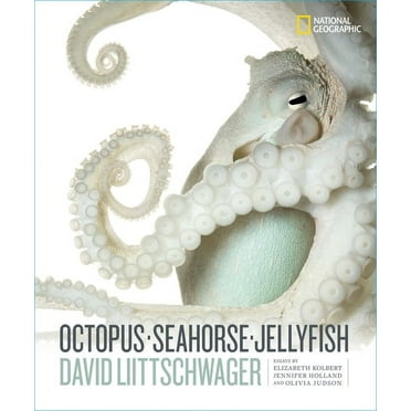 Underwater Wild: My Octopus Teacher's Extraordinary World, (Hardcover ...