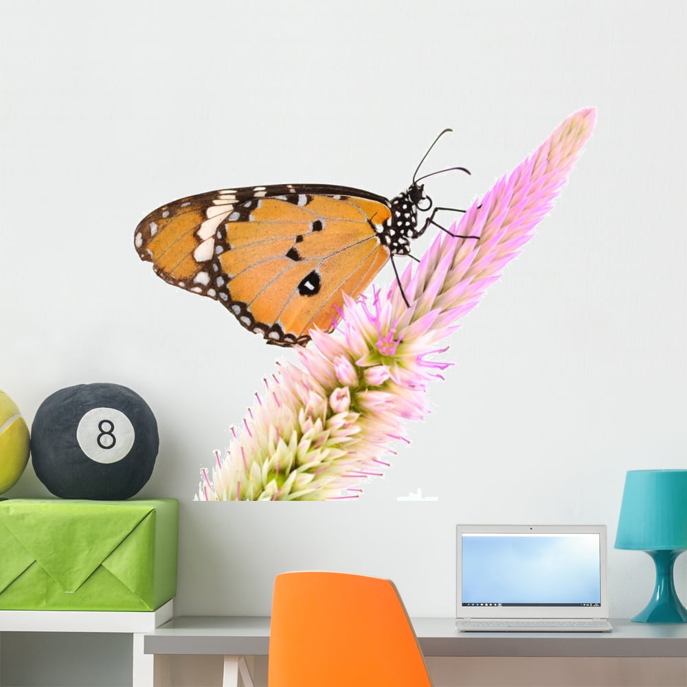 Monarch Butterfly Flower Wall Mural by Wallmonkeys Peel and Stick ...