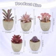 Quivanta Artificial Succulent Plants Potted, Assorted Decorative Faux ...
