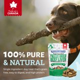 NutriBites Freeze Dried Beef Liver Treats for Dogs and Cats High ...