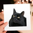 3drose, Black Cat with Beautiful Yellow Eyes Vector Art Cut Out, 6 ...