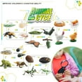 1 Set Life Cycle Learning Toys Frog Butterfly Chicken Mantis Bee Plants ...