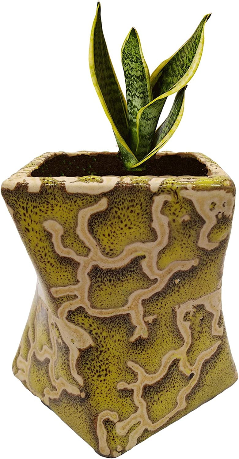 India Meets India Ceramic Flower Pot Planter Pot Indoor Outdoor Planter ...