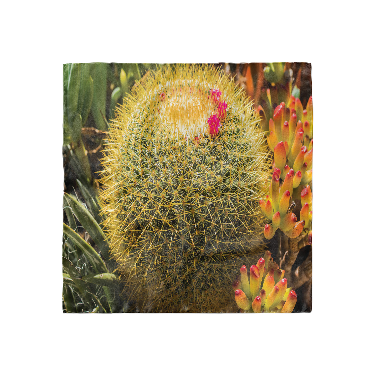 Cactus Head Scarf, Cactus Plant with Spikes, Head Wrap, 3 Sizes, by ...