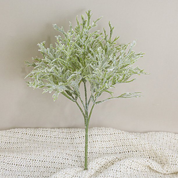 Planta de simulación de valor verde, cornamenta de pelo, hoja suculenta ...