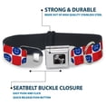 Buckle-Down Pet Collar, Dog Collar Metal Seatbelt Buckle, Smiley Sad ...