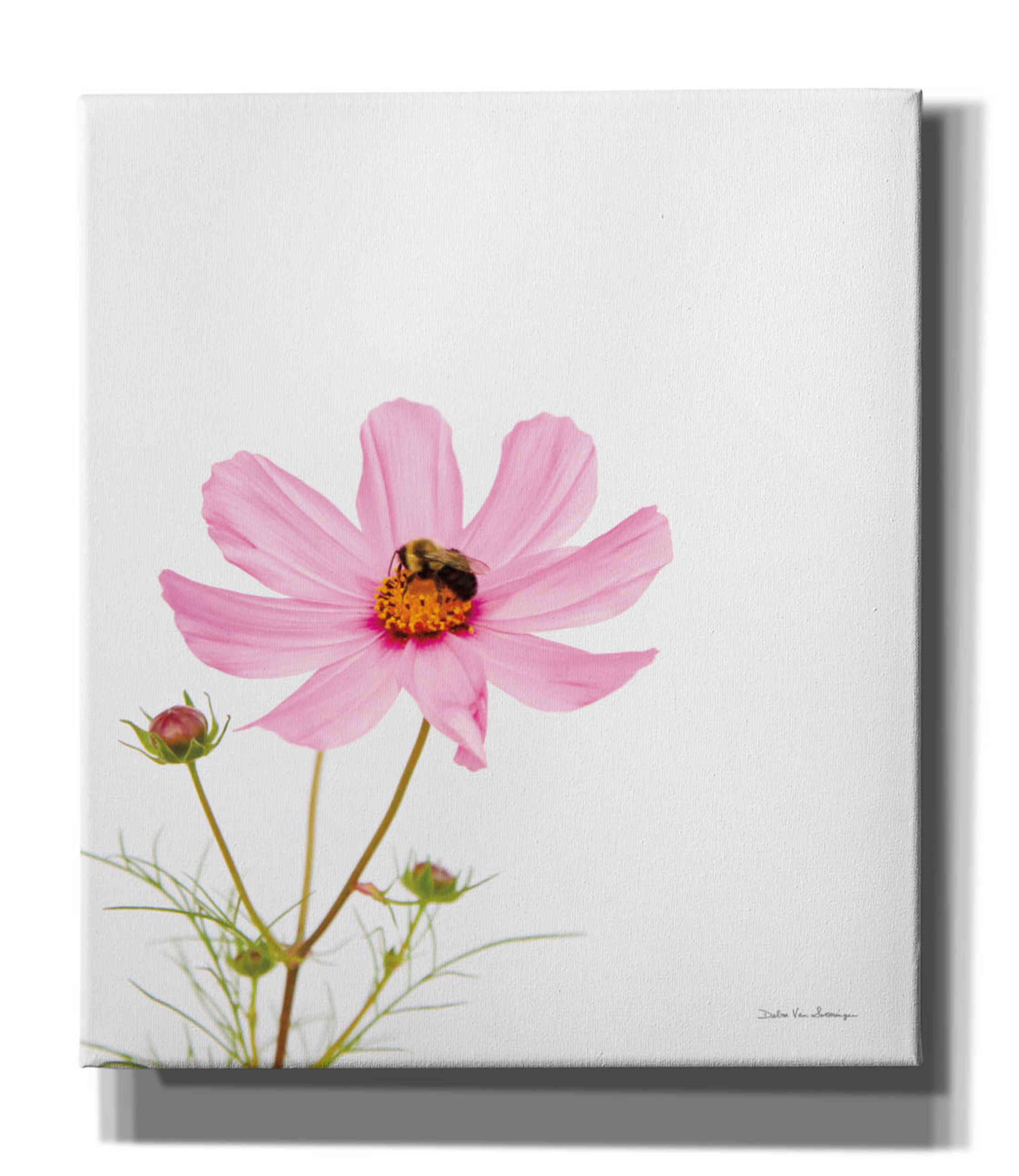 Epic Graffiti 'Pale Cosmos II' by Debra Van Swearingen, Canvas Wall Art ...