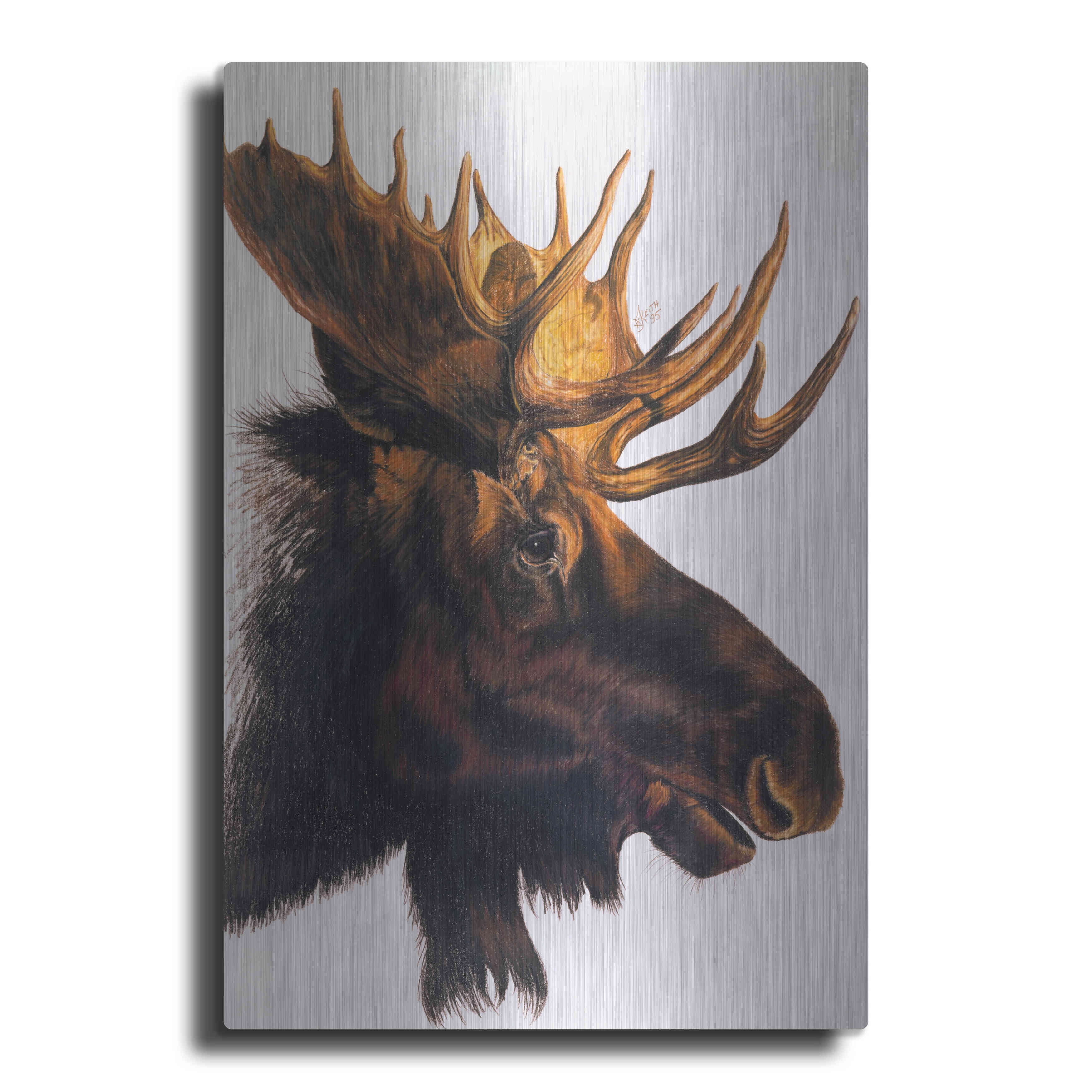 Luxe Metal Art 'Bullwinkle' by Barbara Keith, Metal Wall Art, 16"x24 ...