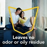 Raid Max Perimeter Protection, 18 Month Effective Multi Insect Killer ...