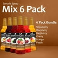 Syruvia Variety Pack Strawberry, Blackberry, Raspberry, Cherry, Mango ...
