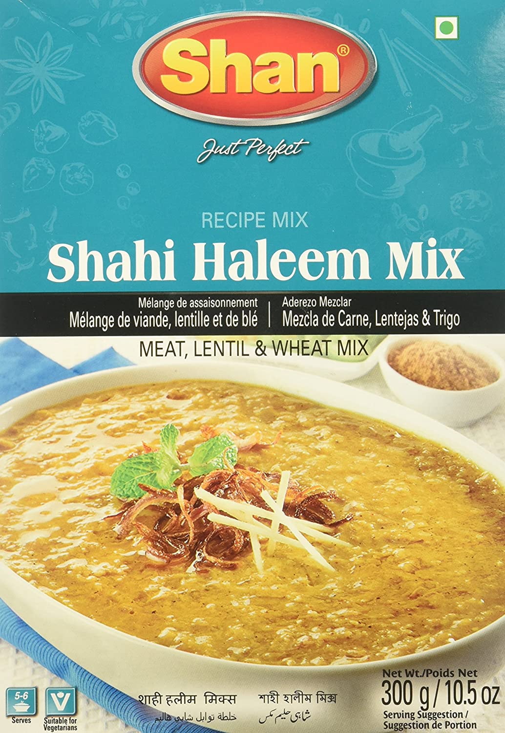 SHAN Shahi Haleem Mix 300g - Walmart.com
