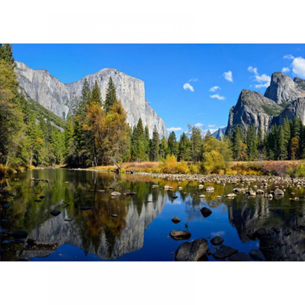 Perfect Square In Nature