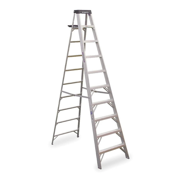 Werner 6 FT Ladders