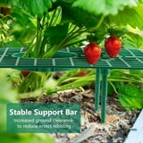 Tanxxt Clearance Strawberry Holder Strawberry Plant Support Strawberry ...