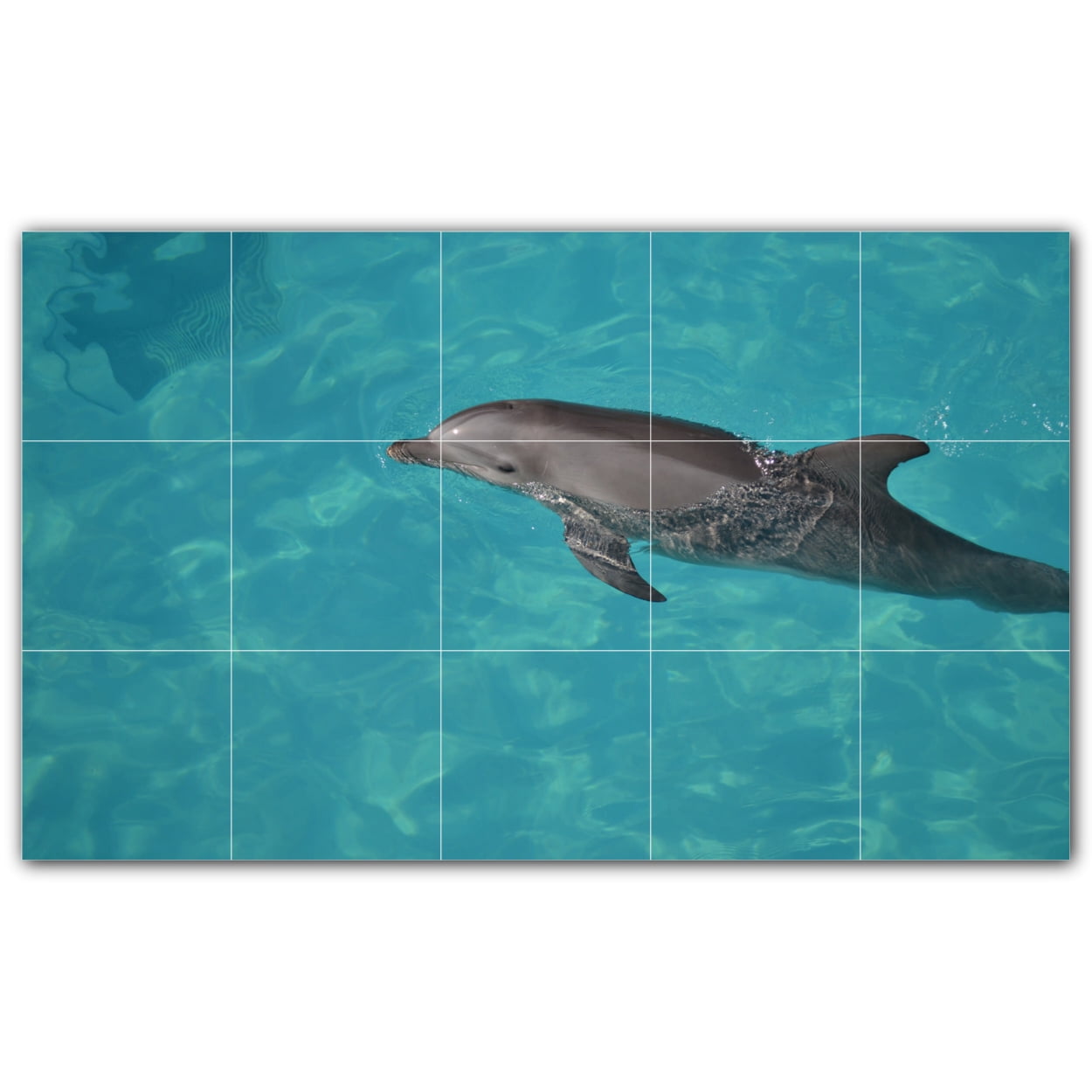 Picture-Tiles.com: Dolphin Ceramic Tile Wall Mural WAL500534-53M. 30"W ...