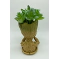 Disney Parks Marvel Superhero Guardian's of Galaxy Groot Succulent ...