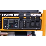 Steele Products 12,000-Watt Gasoline Powered Electric Start Portable ...