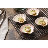 Nantucket Seafood Natural Baking Sea Shells, White, 4-Inch, Set of 4 ...