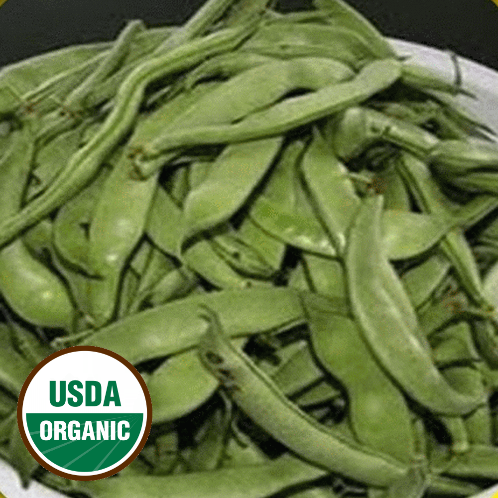 Everwilde Farms - 50 Organic Tenderette Green Bush Bean Seeds - Gold ...
