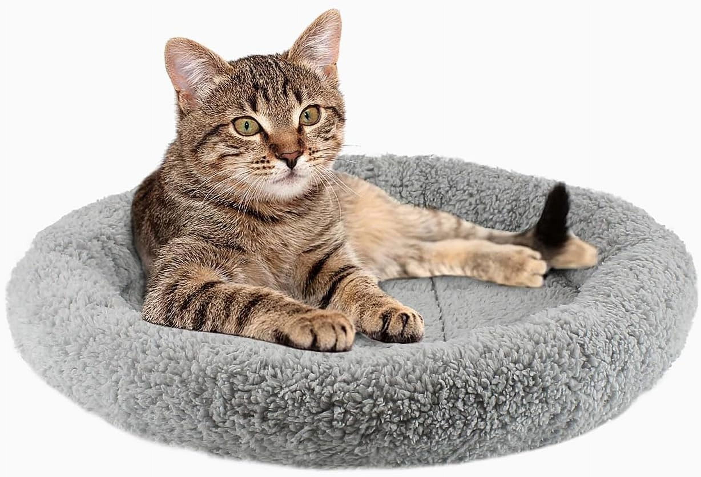 Trahoo-lit pour Chats d'Intérieur, Lit Rond pour Chat pour Dormir en ...